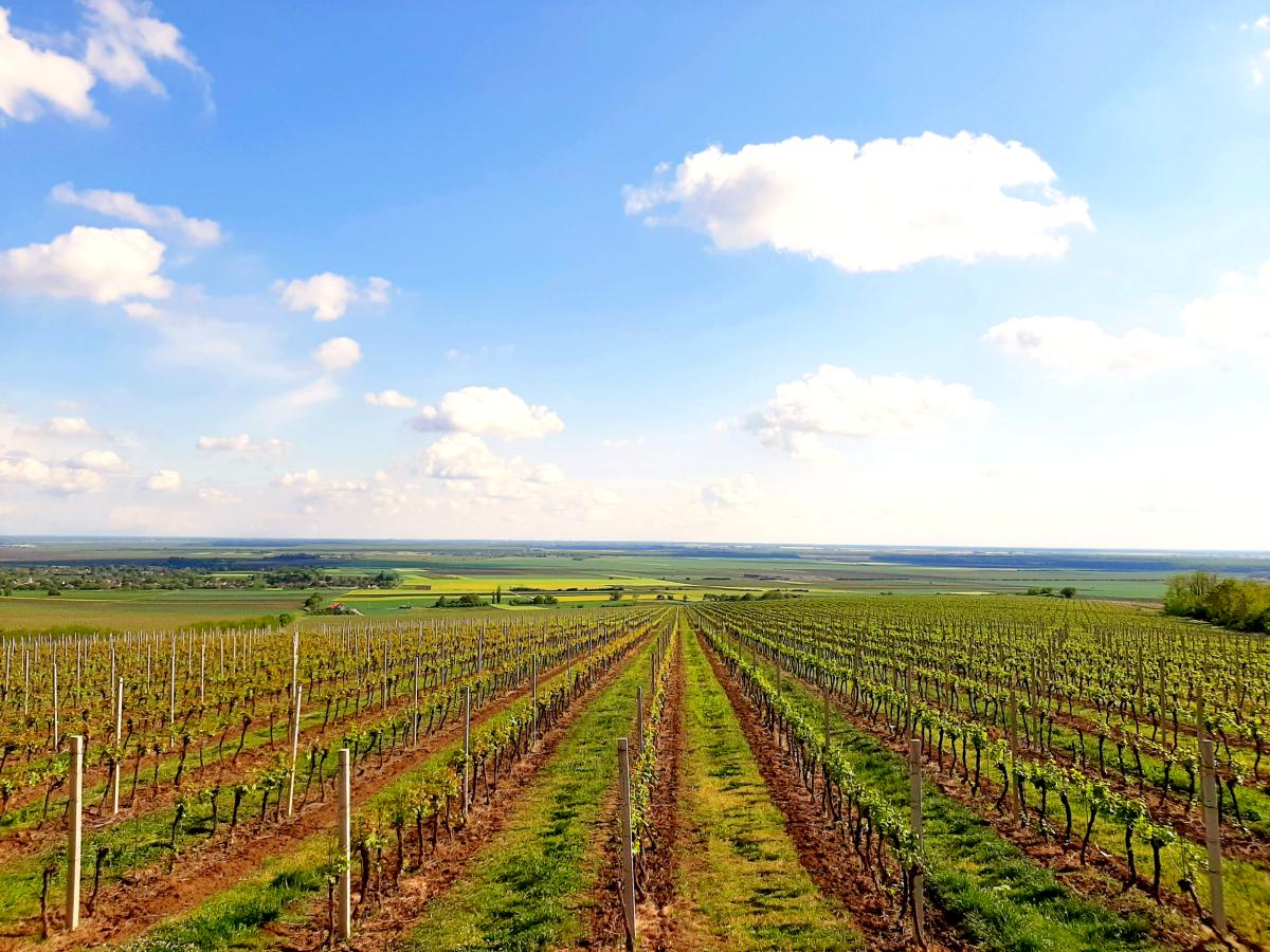 6 DAY SLAVONIA AND BARANJA TOUR - TRAVEL TO CROATIA